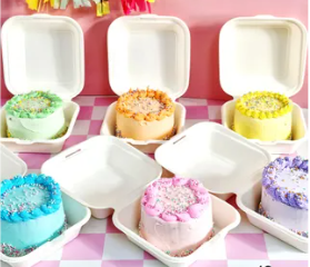 6x6x3 INCH | BENTO CAKE BOX | 10 PCS | The Cookie Jar And More